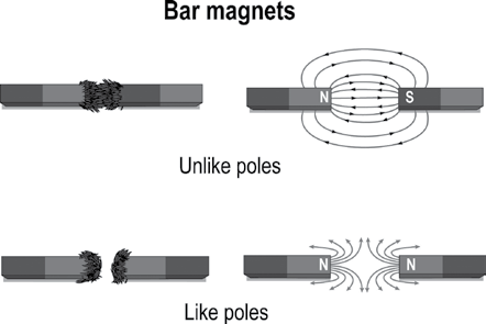 Force | Primary Connections